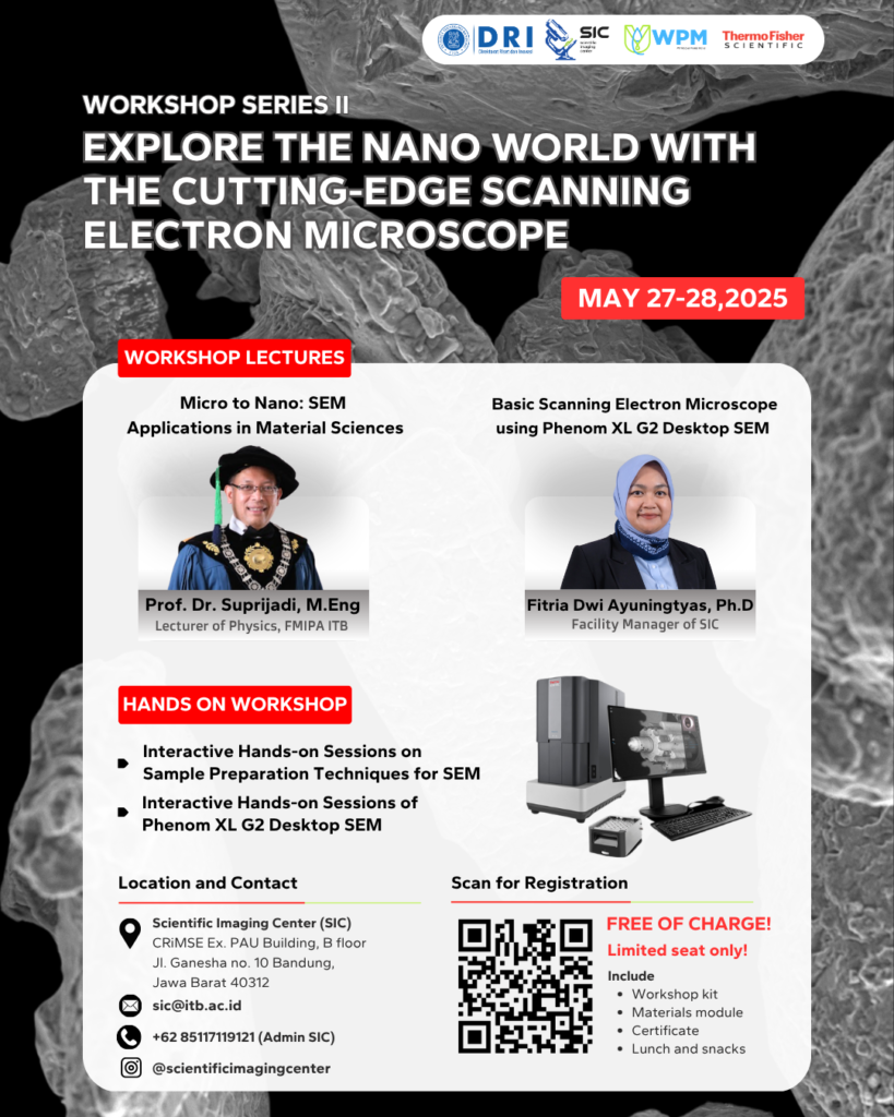 Explore the Nano World with the Cutting-Edge Scanning Electron ...